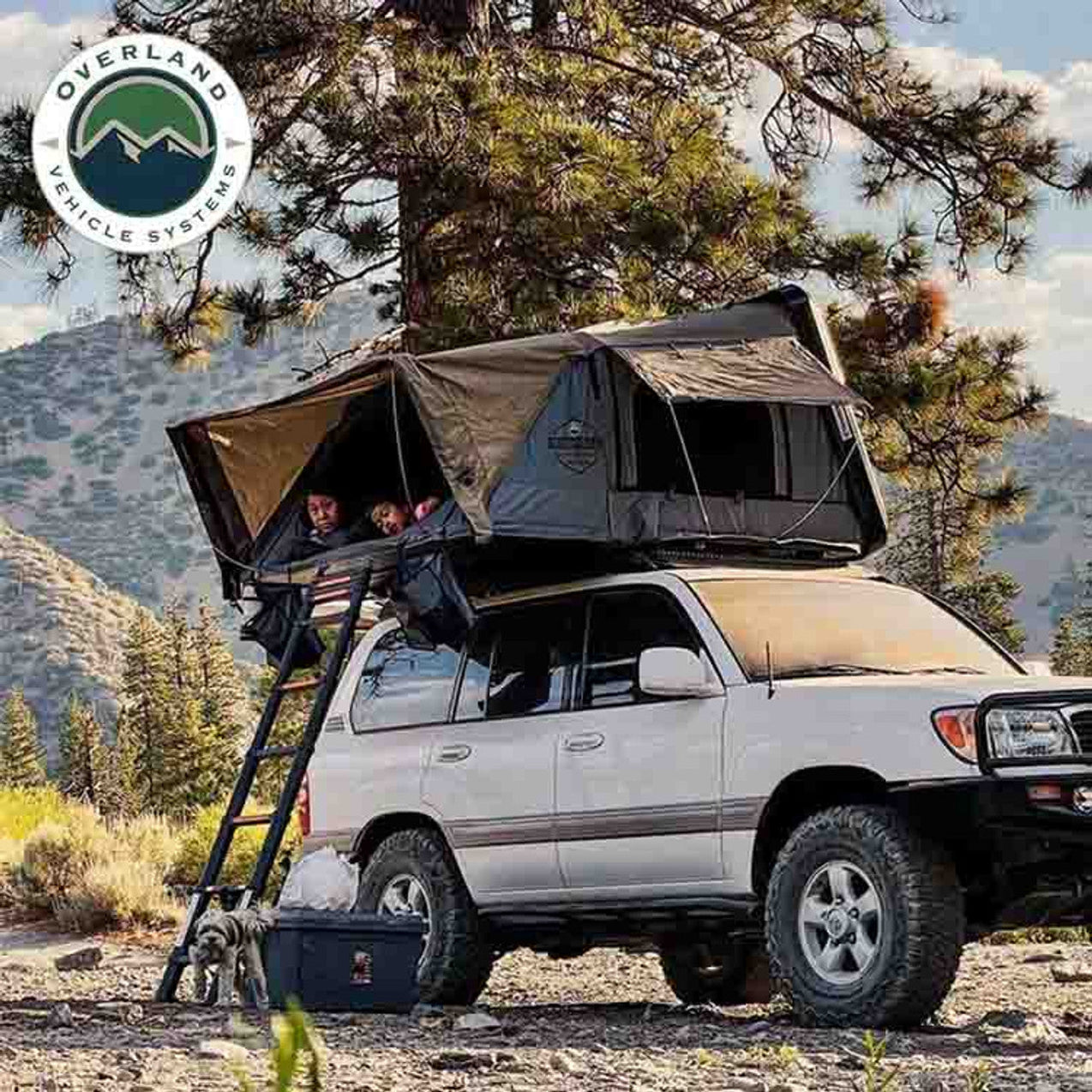 Overland Vehicle Systems HD Bushveld II Cantilever Hard Shell Roof Top ...