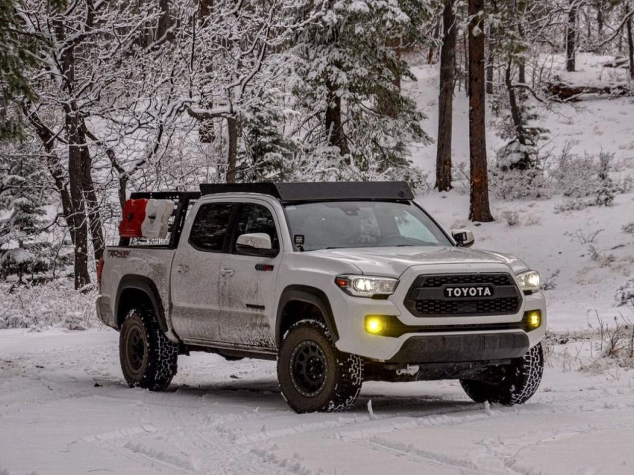 VLEDS Micro Limited Fog Lights For Tacoma (2016-2023) — Tacoma Lifestyle